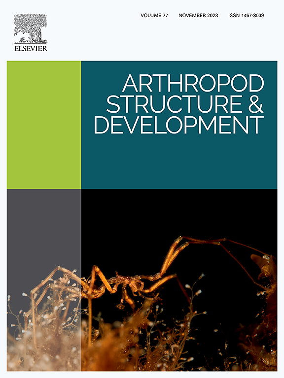 Arthropod Structure & Development